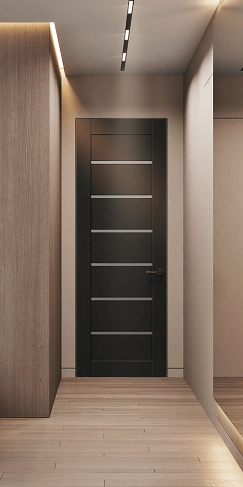 Alba Black Matte Modern Interior Frameless Door for $369.00 | Door ...